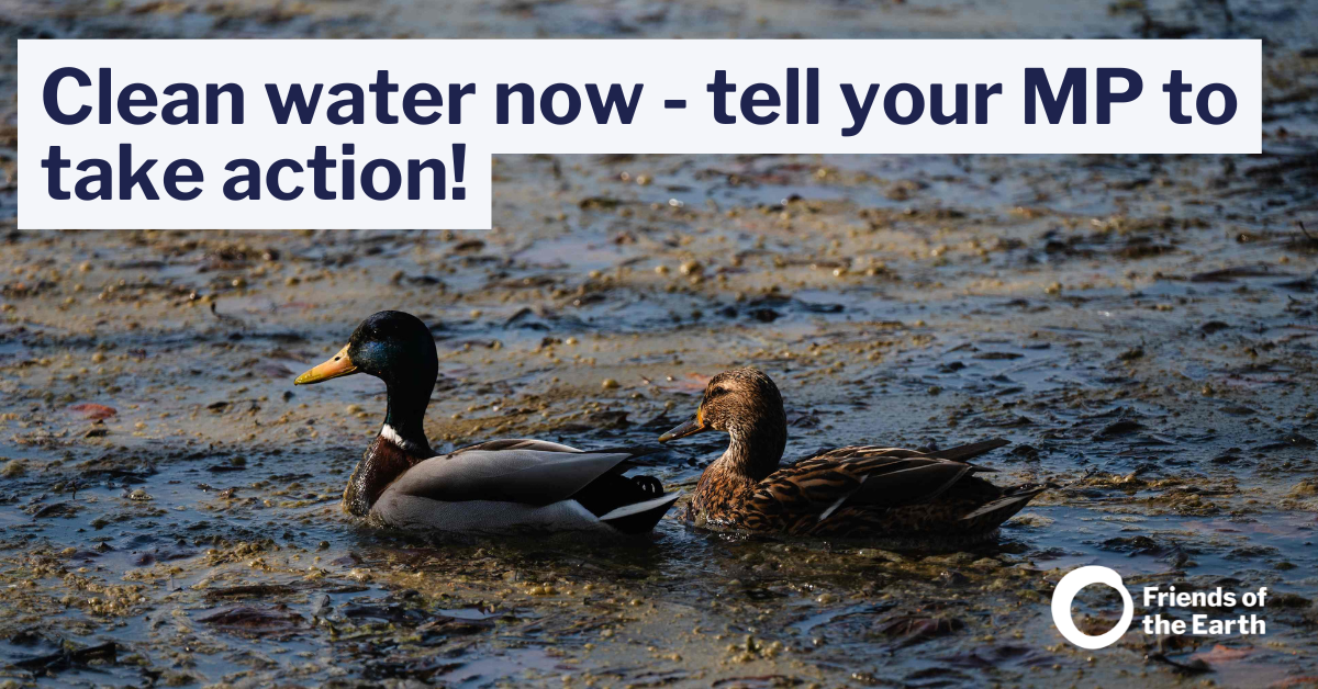 Clean Water Now - tell your MP to take action | Friends of the Earth