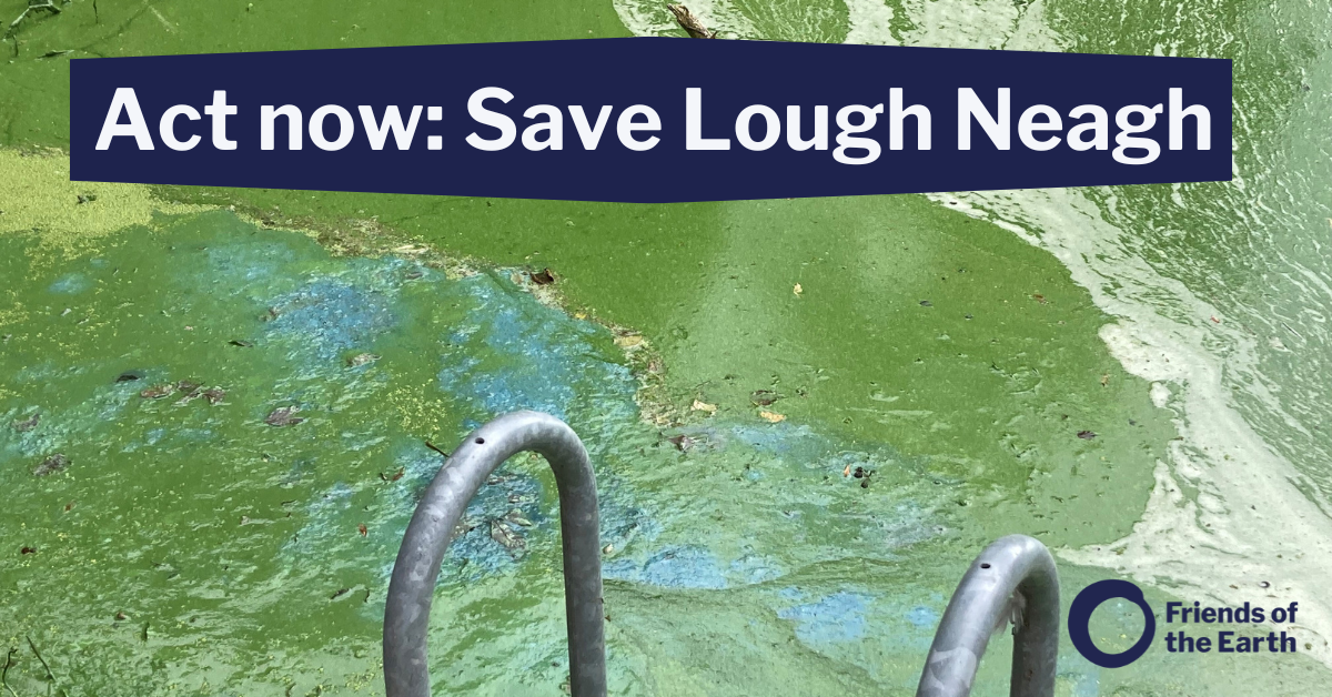 Save Lough Neagh | Friends of the Earth