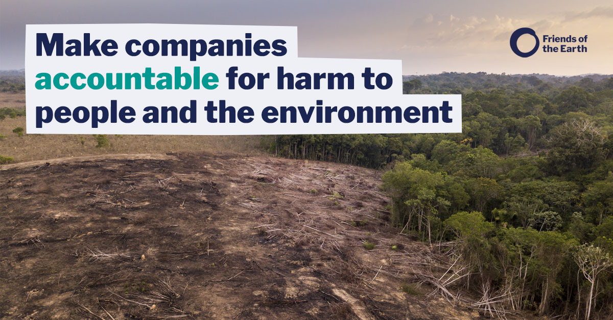 Make companies pay for exploiting people and planet | Friends of the Earth
